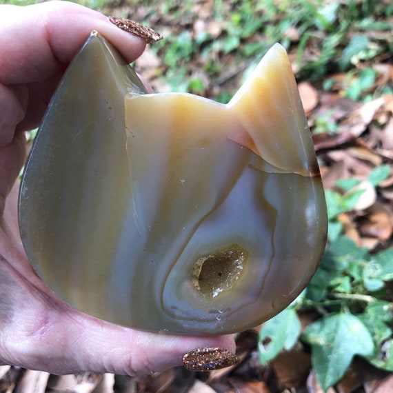 Crystal Cat Head Druzy Crystal Agate Kitty Agate Geode | Etsy