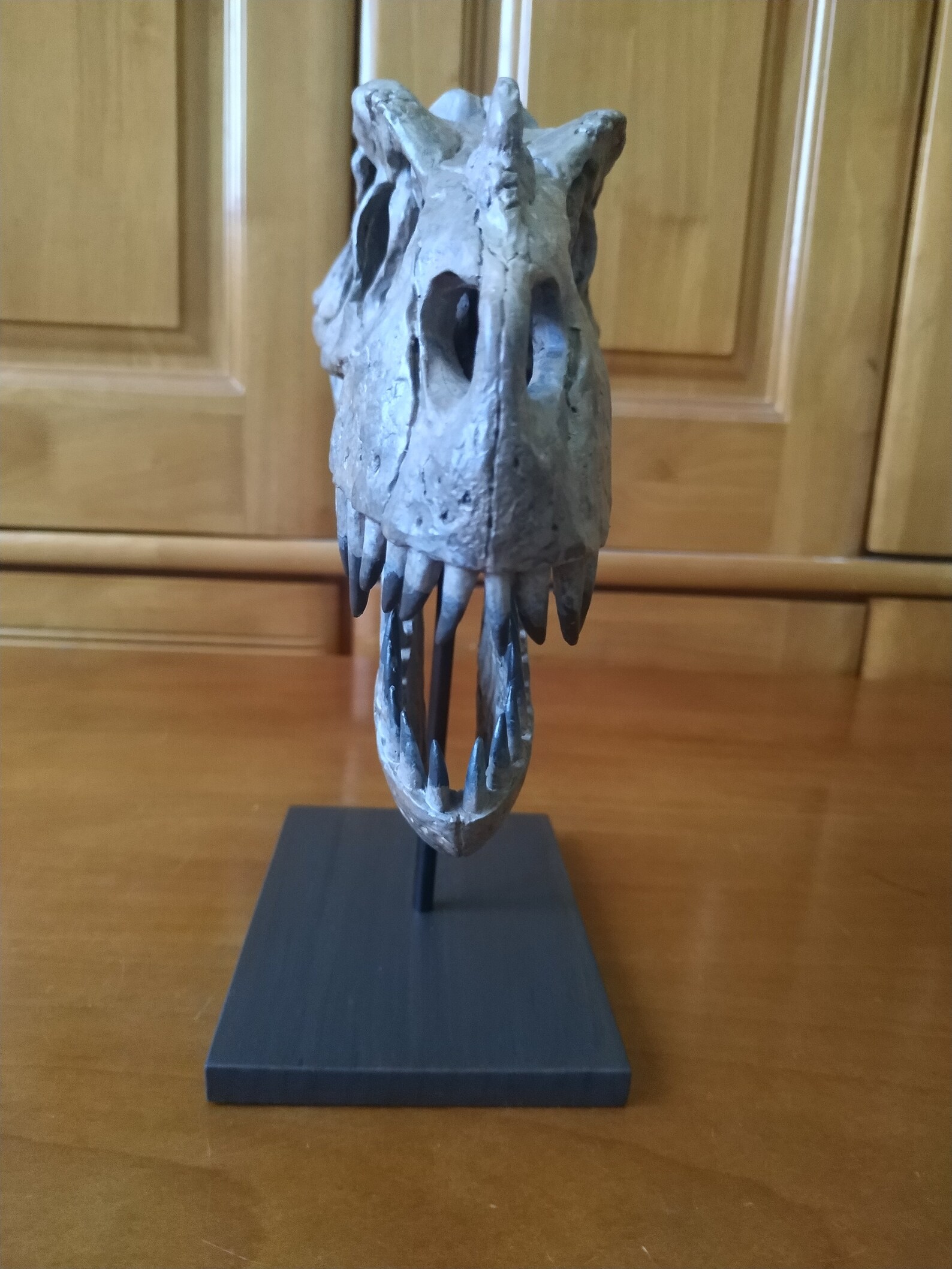 21cmdinosaur Model / Ceratosaurus Skull Model JBL-2020 - Etsy