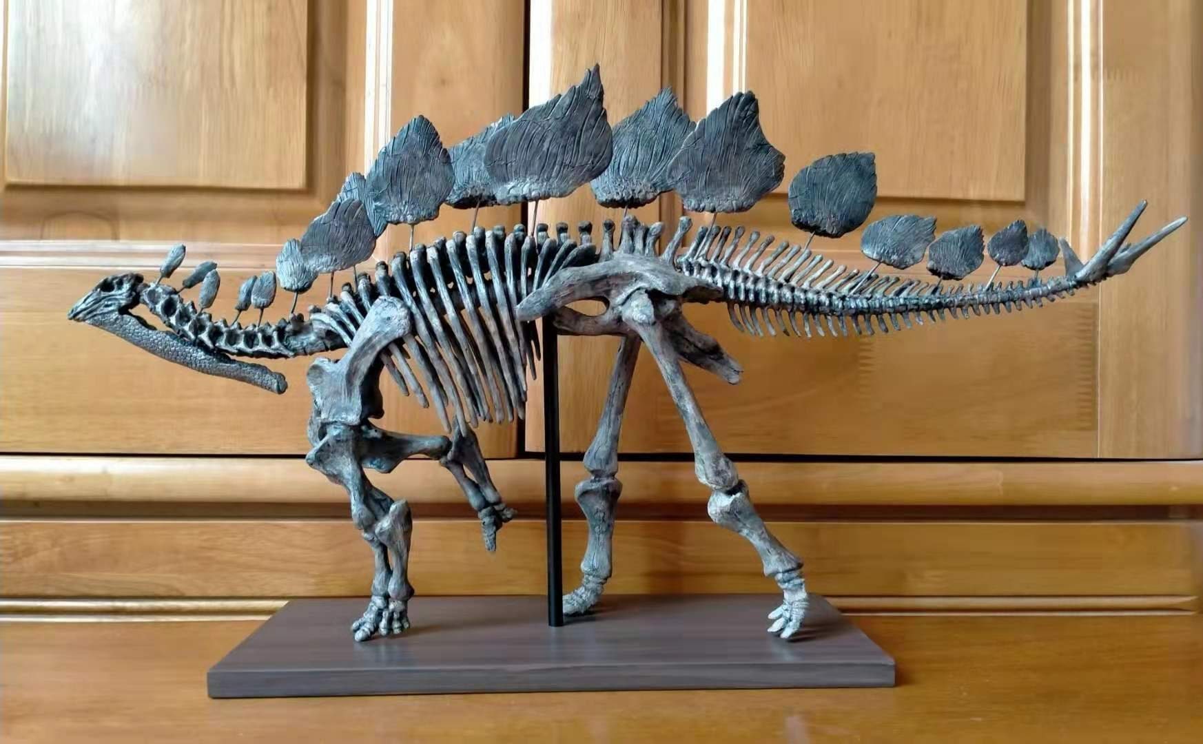45 CM, Dinosaur Model / Stegosaurus Skeleton Model JL202101 - Etsy UK