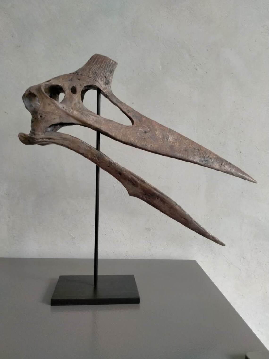 NEW 40CM Pterosaur / Quetzalcoatlus Skeleton Model JYL-2020 - Etsy Denmark