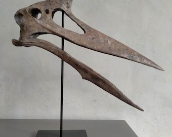 NEW 40CM Pterosaur / Boreopterus Skeleton Model Yayl-2020 | Etsy