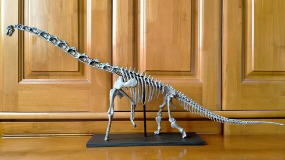 Brachiosaurus Skeleton Model
