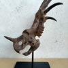 NEW, 40CM, Pterosaur / Boreopterus Skeleton Model Yayl-2020 - Etsy Canada