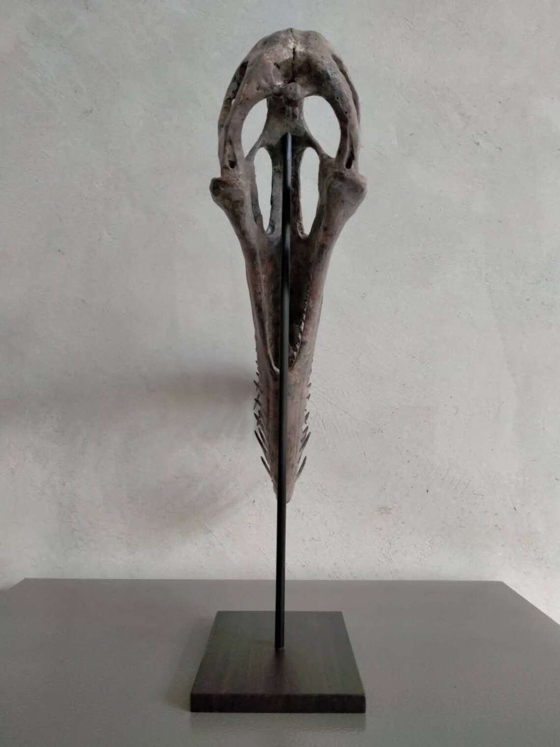 NEW 40CM Pterosaur / Boreopterus Skeleton Model Yayl-2020 - Etsy