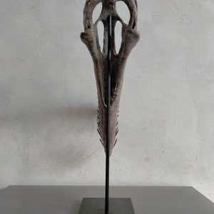 NEW, 40CM, Pterosaur / Boreopterus Skeleton Model Yayl-2020 - Etsy