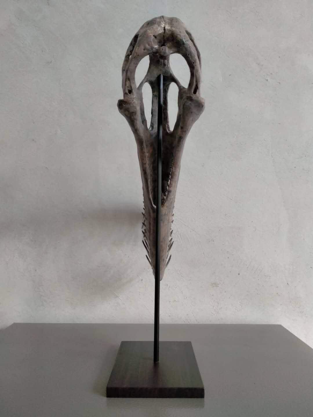 NEW, 40CM, Pterosaur / Boreopterus Skeleton Model Yayl-2020 - Etsy