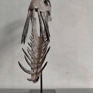 NEW, 40CM, Pterosaur / Boreopterus Skeleton Model Yayl-2020 - Etsy