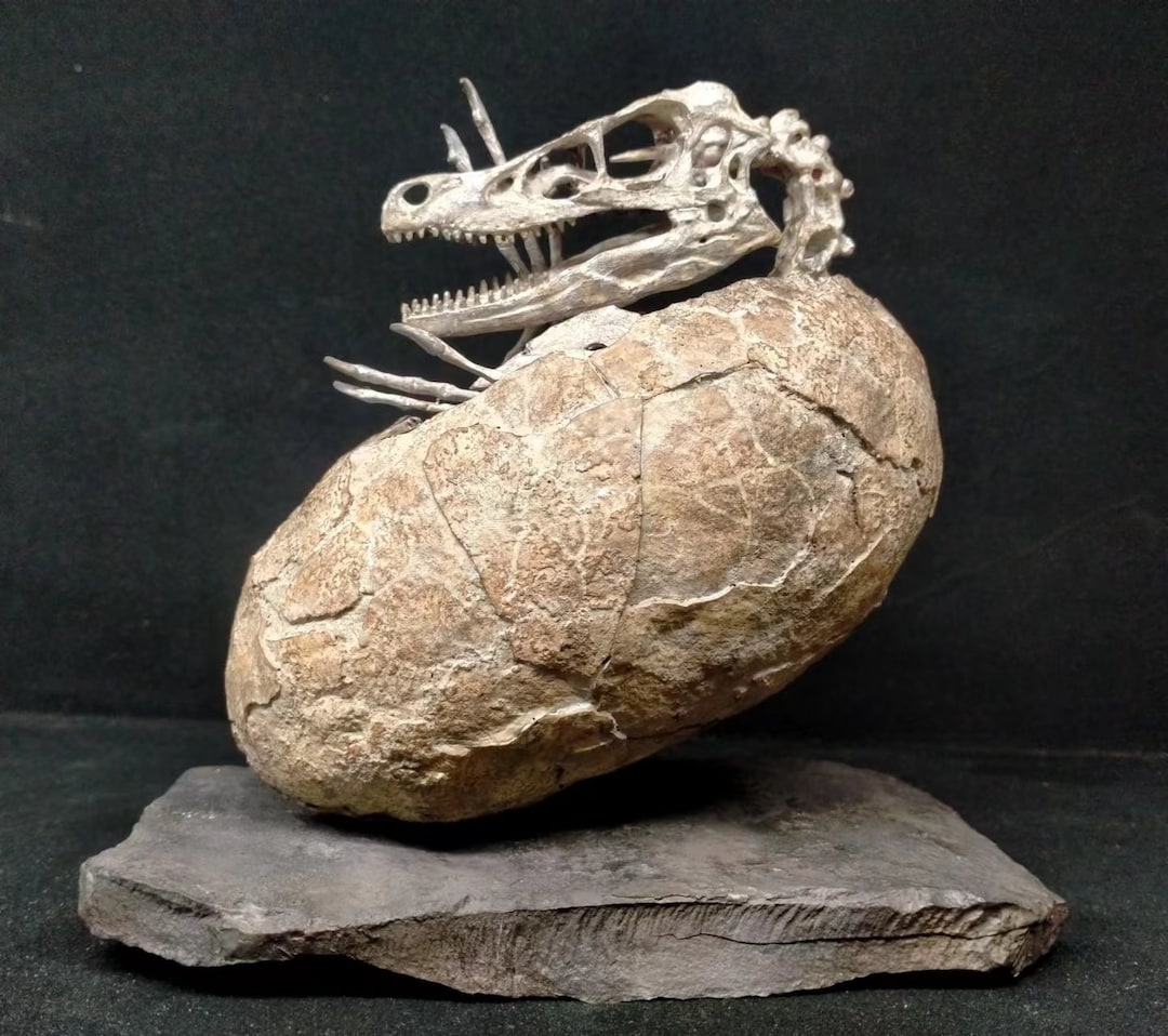 New ！15.5CM Dinosaur Model / Velociraptor Egg Replica 2024-01 - Etsy