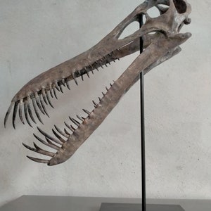 NEW, 40CM, Pterosaur / Boreopterus Skeleton Model Yayl-2020 - Etsy