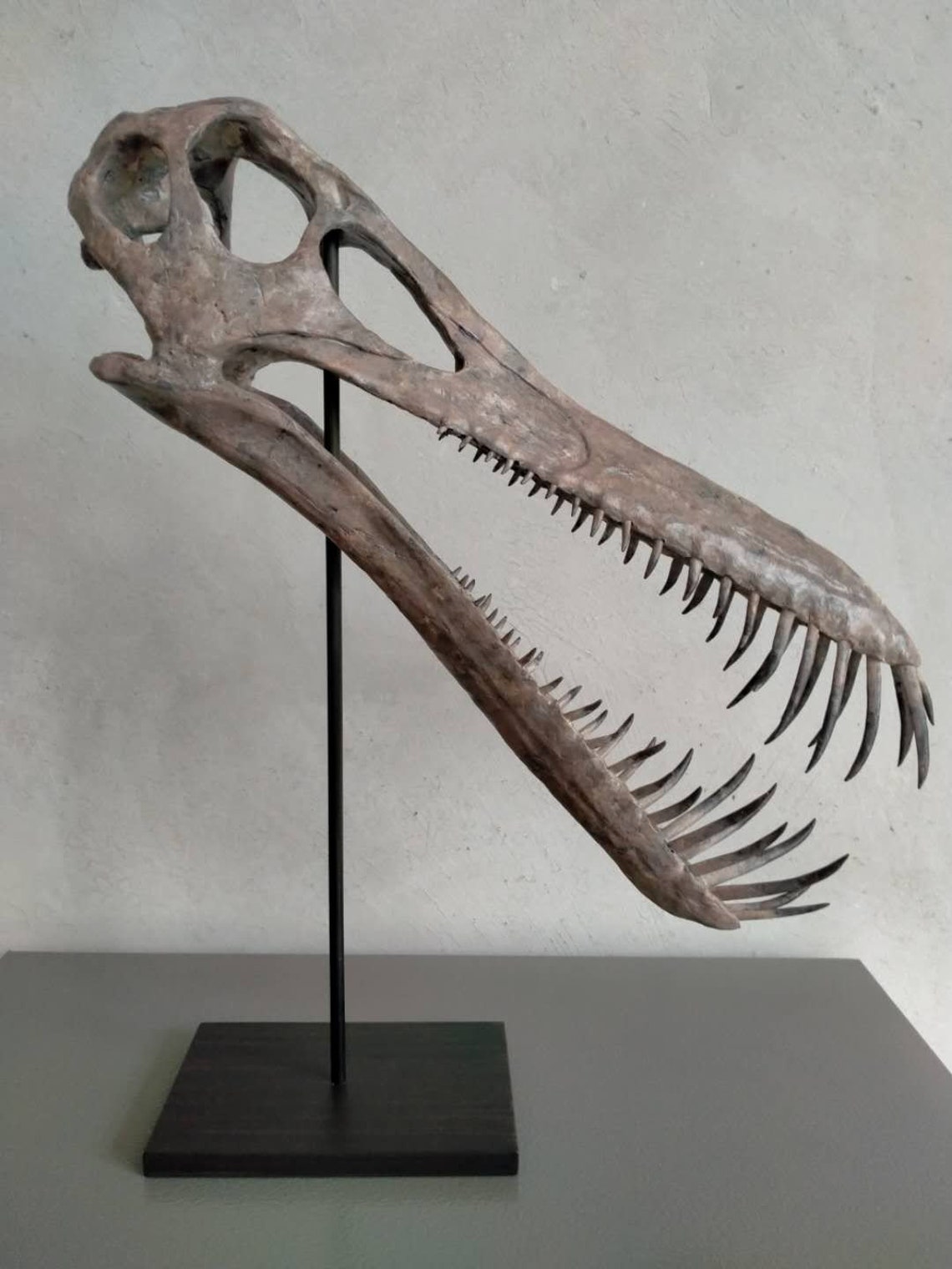 NEW, 40CM, Pterosaur / Boreopterus Skeleton Model Yayl-2020 - Etsy