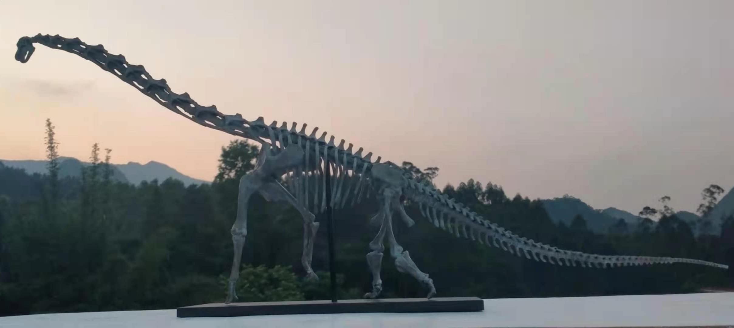 Brachiosaurus Skeleton