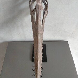 NEW, 40CM, Pterosaur / Boreopterus Skeleton Model Yayl-2020 - Etsy