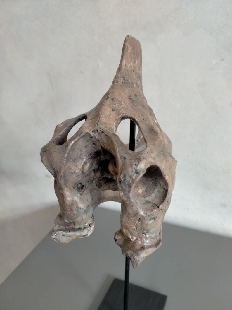 NEW 40CM Pterosaur / Quetzalcoatlus Skeleton Model JYL-2020 - Etsy