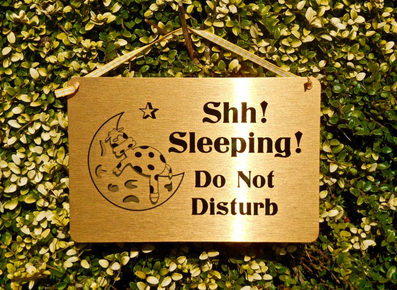 SHH SLEEPING Do Not Disturb Silver Gold or White Sign: Add | Etsy