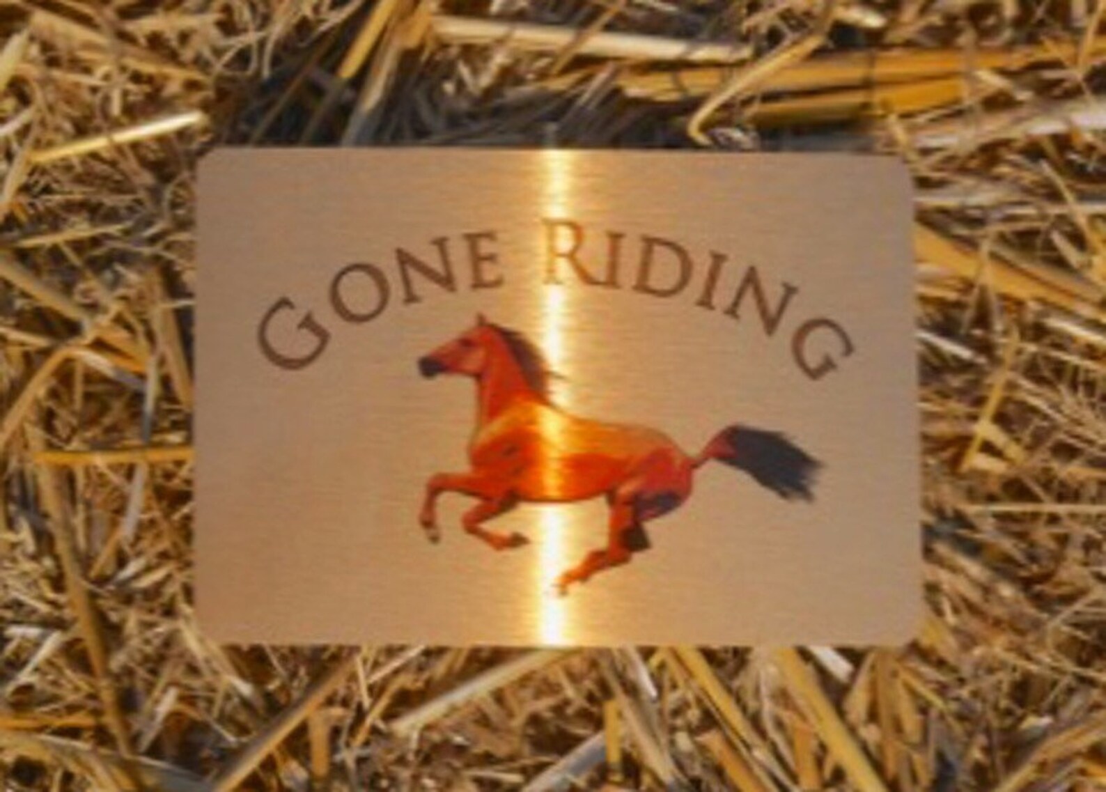 GONE RIDING or Gone to the Stables Bespoke Metal Door Plaque - Etsy UK