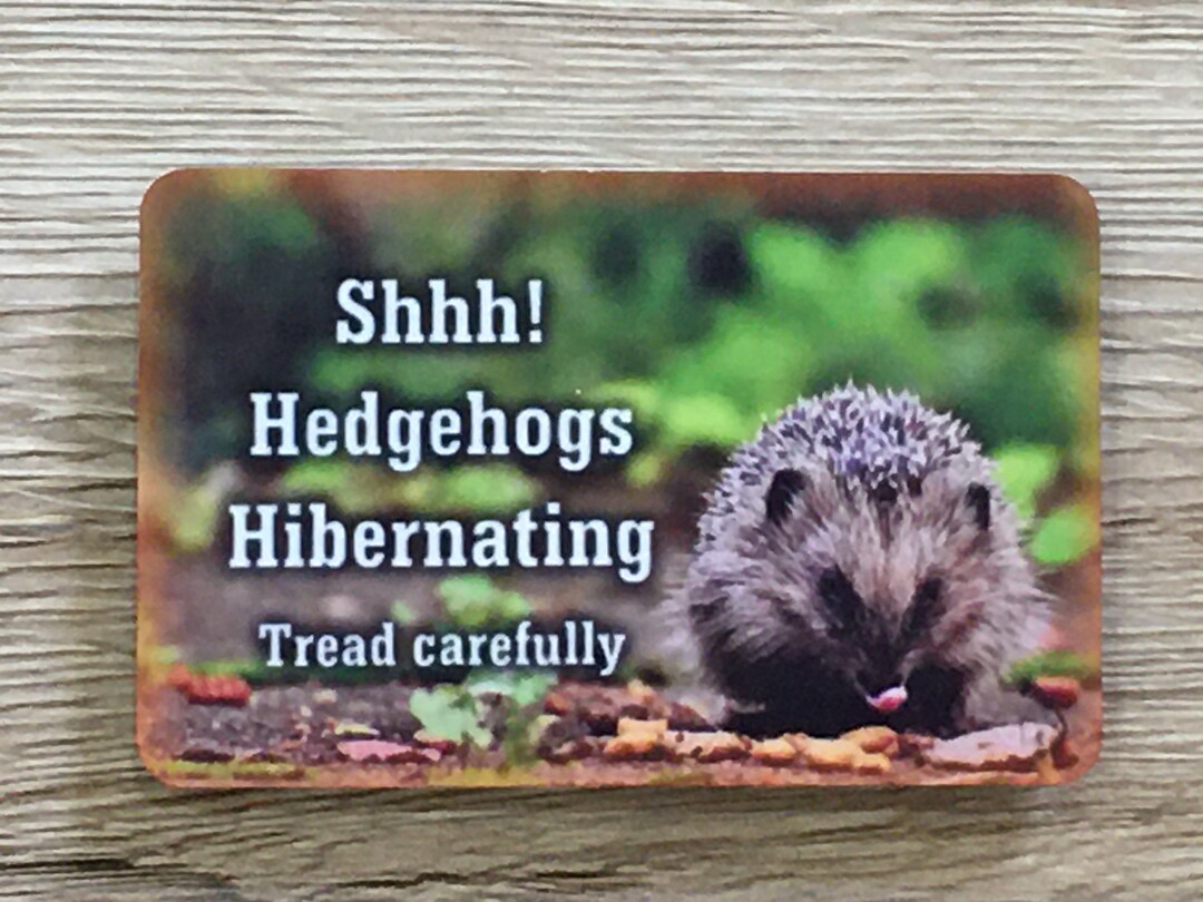 HEDGEHOG SIGN Add Your Text to Custom Made House Sign: Metal or Wood ...