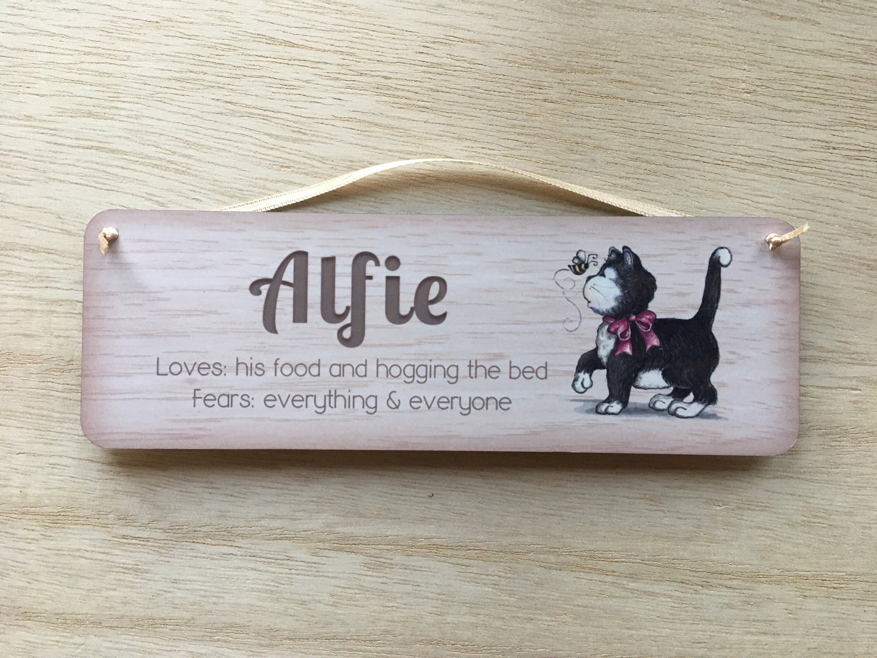 CAT NAME SIGN Personalised Basket Carrier House or Room Metal - Etsy UK