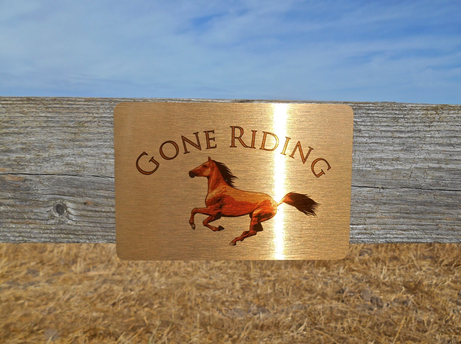 GONE RIDING or Gone to the Stables Bespoke Metal Door Plaque - Etsy UK