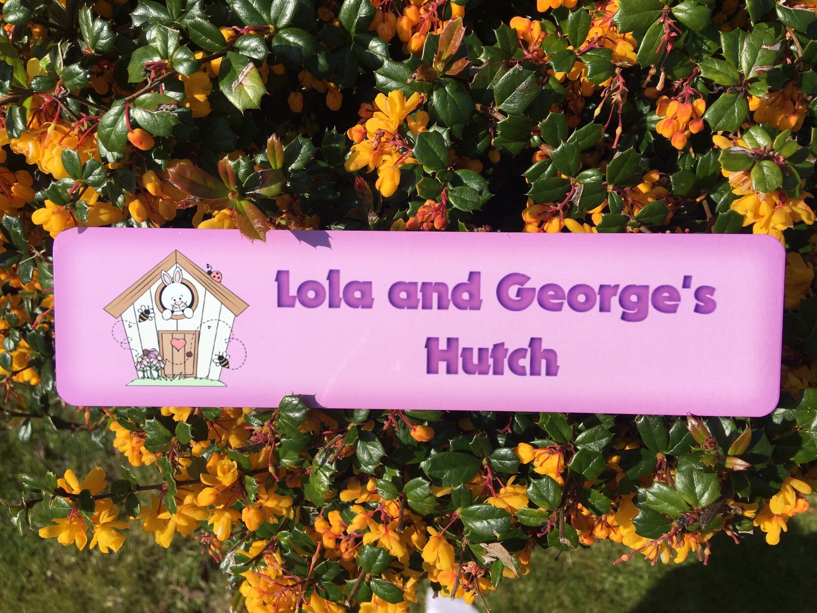 RABBIT HUTCH SIGNS: Pink Blue Green Purple or Cream Metal - Etsy UK