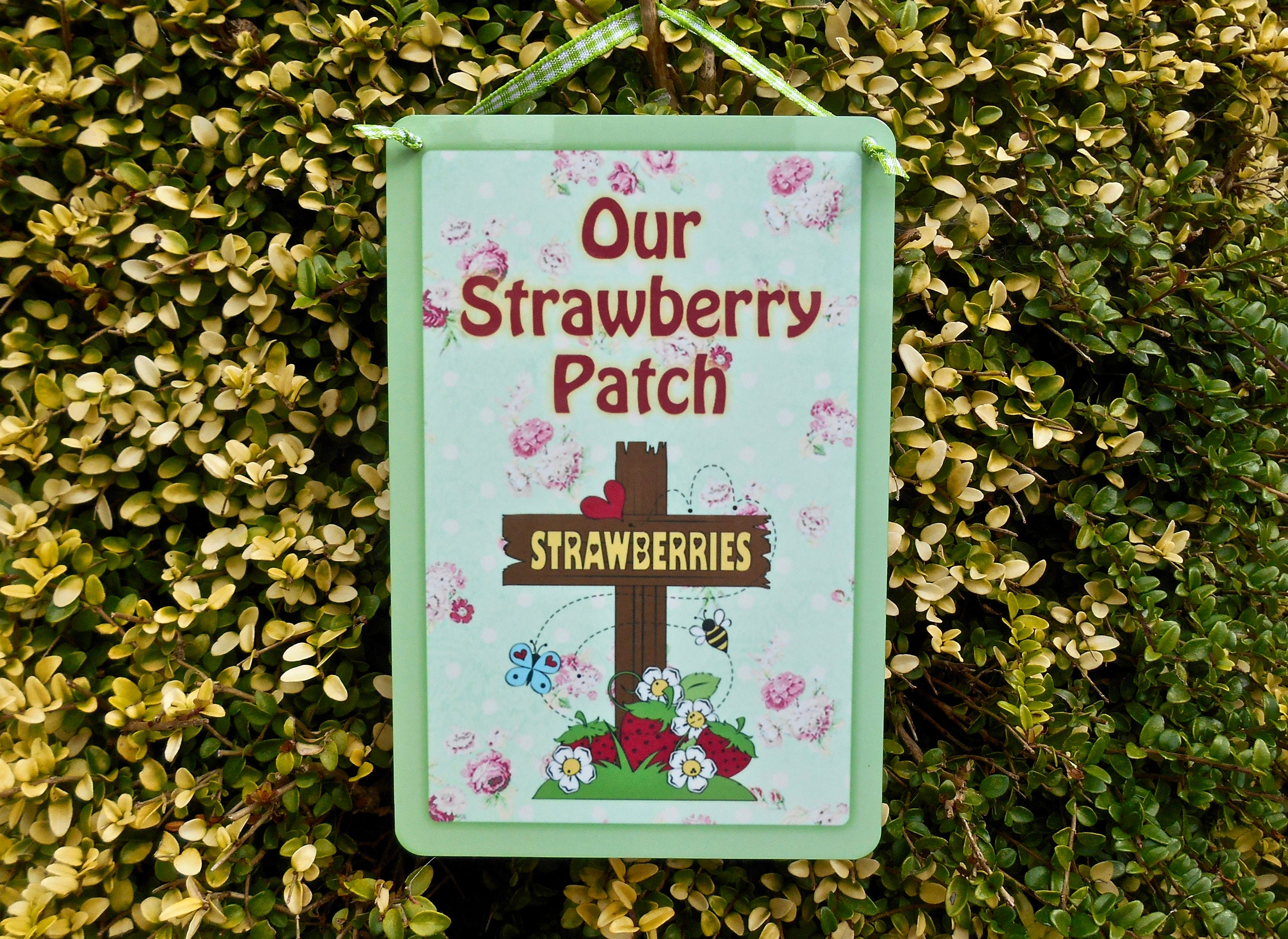 My Strawberry Patch Metal Garden Sign With Personalised Option - Etsy UK