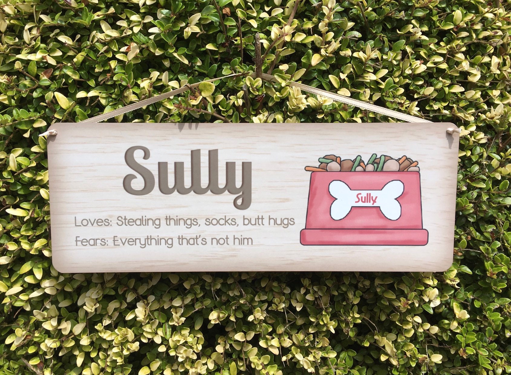 DOG NAME SIGN Pet Personalised Basket Carrier House or Kennel Metal ...