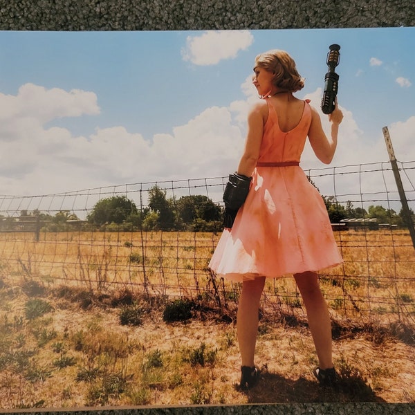 Fallout New Vegas - Etsy