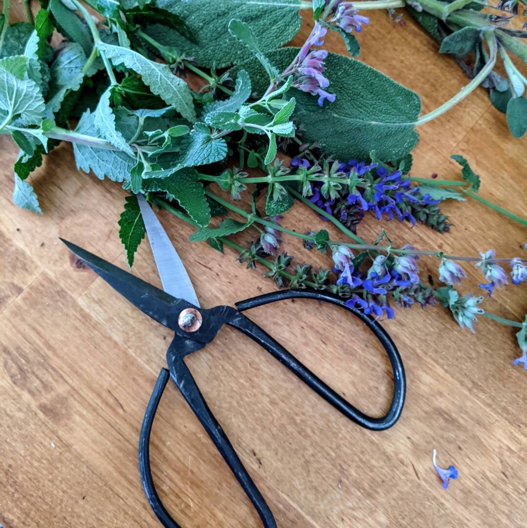 Farmhouse Garden Scissors, Rustic Primitive Bonsai Scissors, Small ...