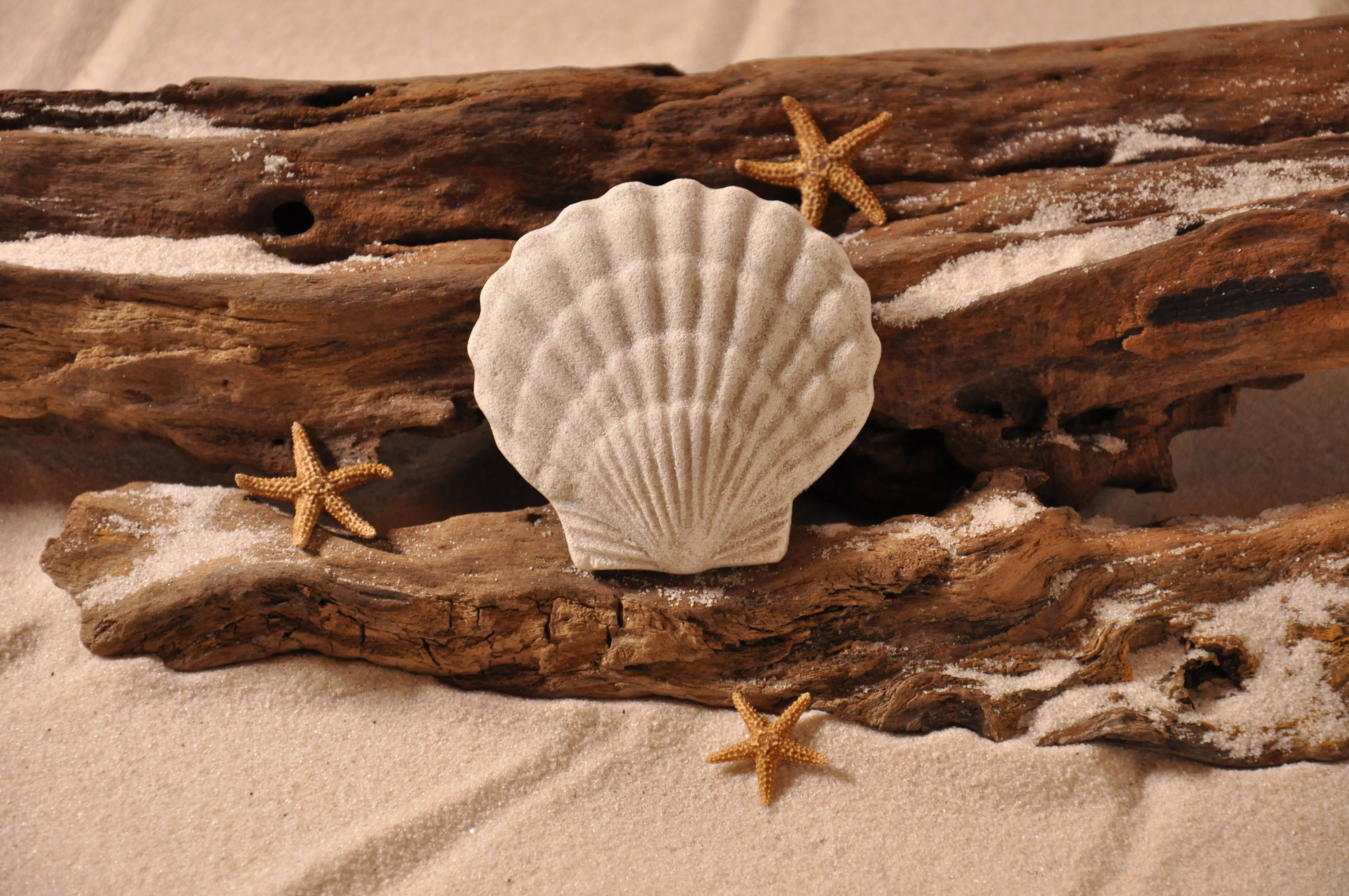 SCALLOP SHELL Sand Magnet FAVORS, Beach Wedding, Destination Wedding ...