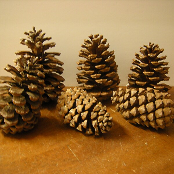 Raw Materials - Etsy