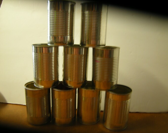 9 Tin Cans-target Practice-art-crafts-assemblage-recycle-upcycle-4.50 ...
