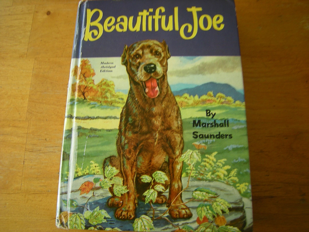 Vtge Book-beautiful Joe-a Dog Story-marshall Saunders-edition 1955 ...
