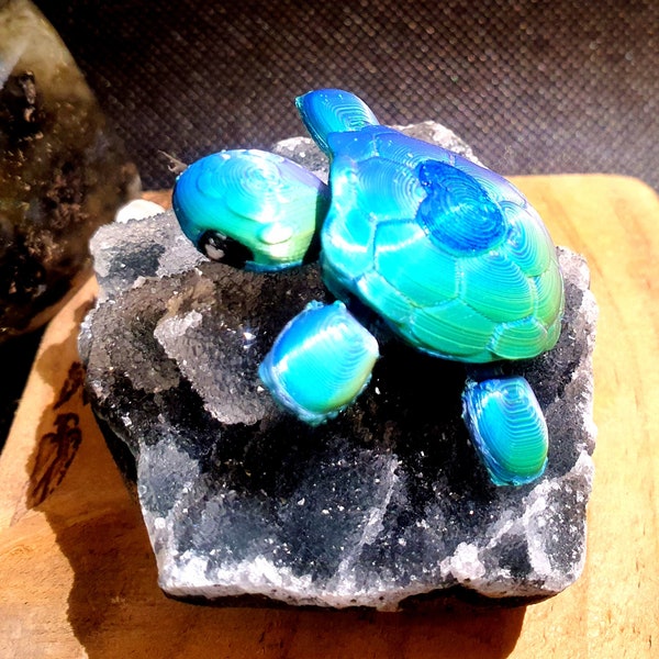 3d Printed Turtle Heart - Etsy