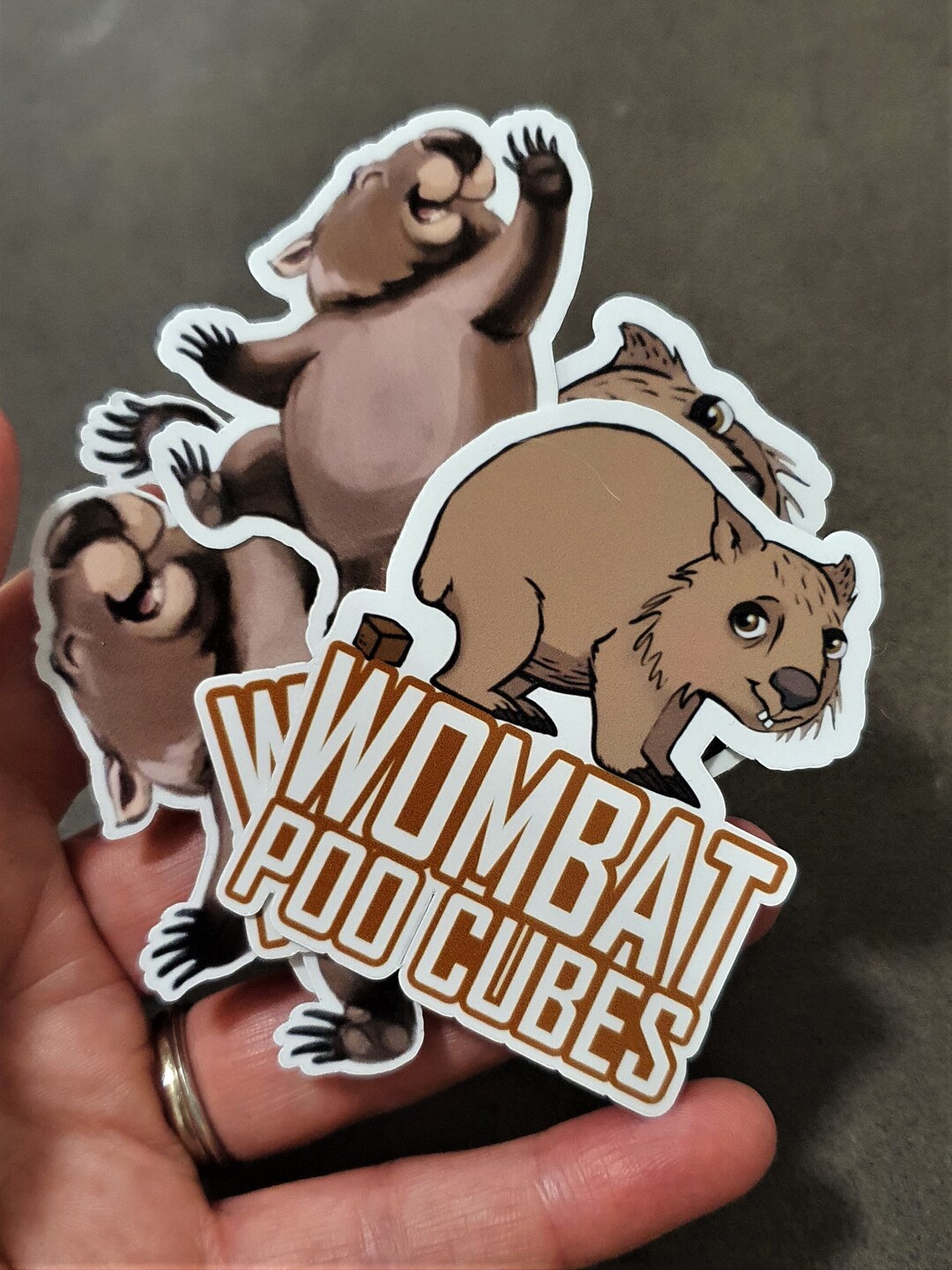 Wombat Stickers, 4 Australian Wombats for Marsupial Lovers, Sticker ...
