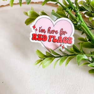 I'm Here for the Red Flags Sticker Smut Reader Bookish Merch Booktok ...