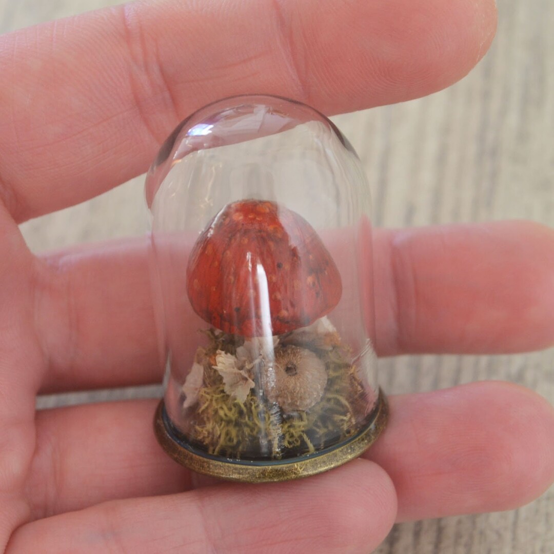 Dollhouse Miniature Dome / Dollhouse Decor / Miniature Terrarium / Mini ...