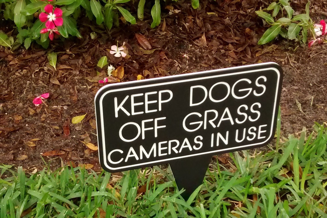 Dog Poop Sign, Dog Sign, Curb Your Dog, Please Clean up After Your Pet ...