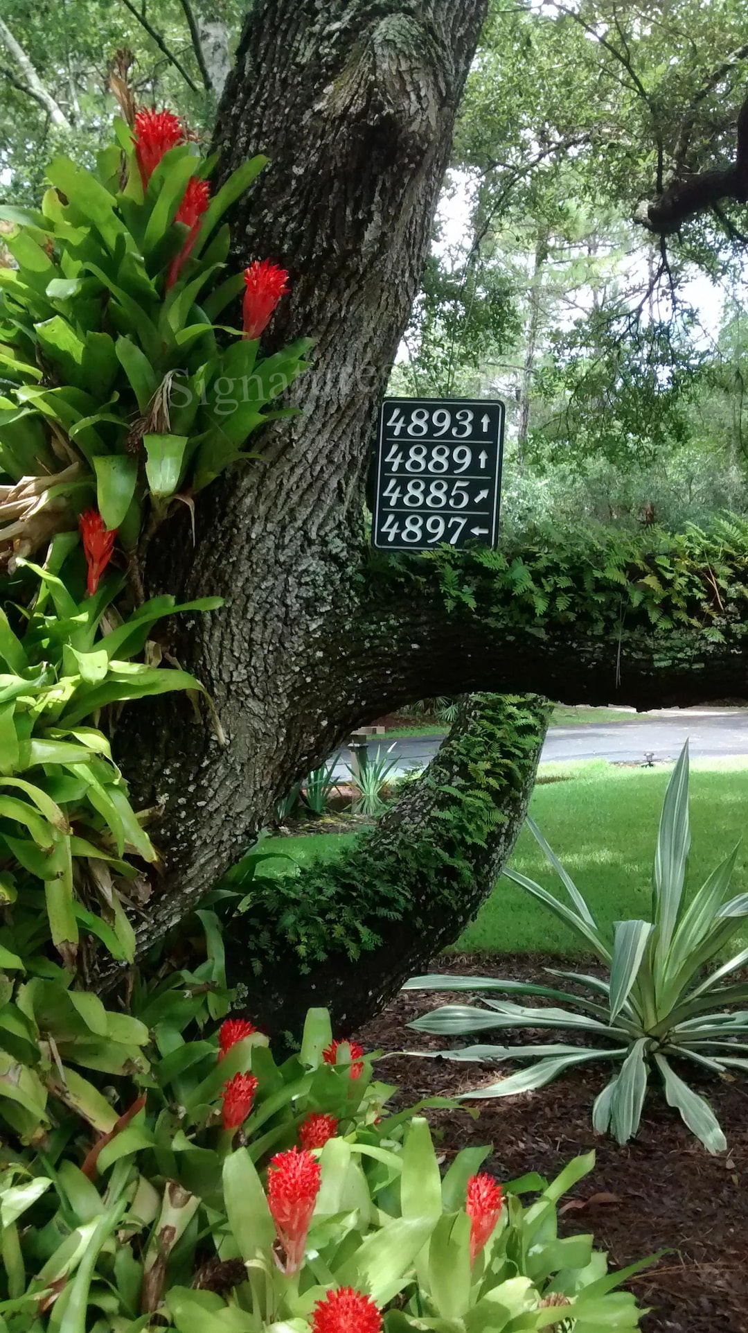 Arrow Address Sign, House Number With Arrow, House Number With Arrow ...