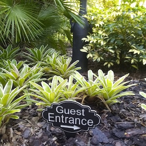 Guest Entrance Sign, Welcome Suite Guest Quarters, Airbnb Guest Room ...