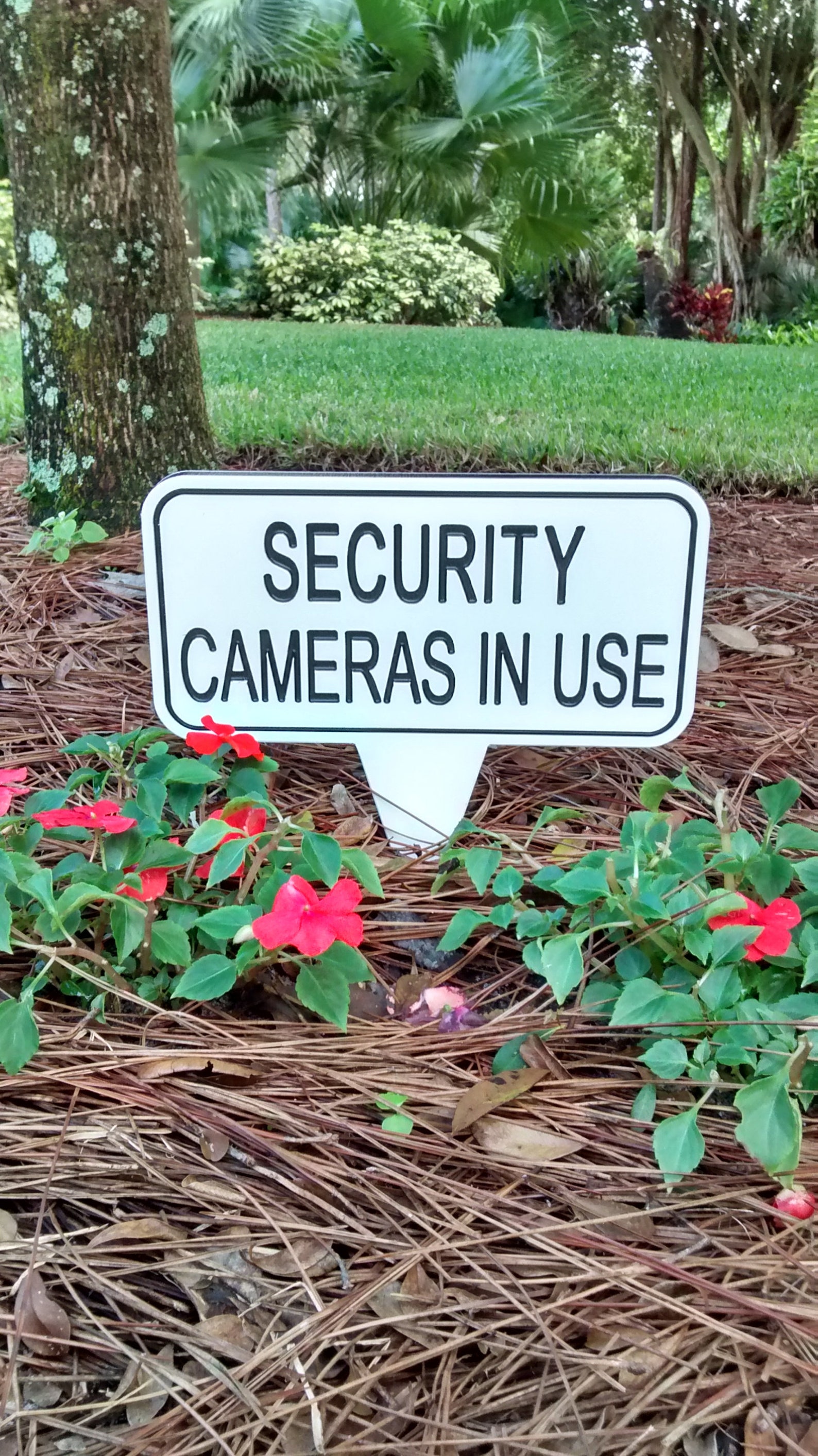 Cameras in Use, Security Cameras, Security Cameras in Use Home ...