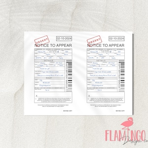 Funny Citation Birthday Invitation: Police Ticket, DIY Canva Template ...