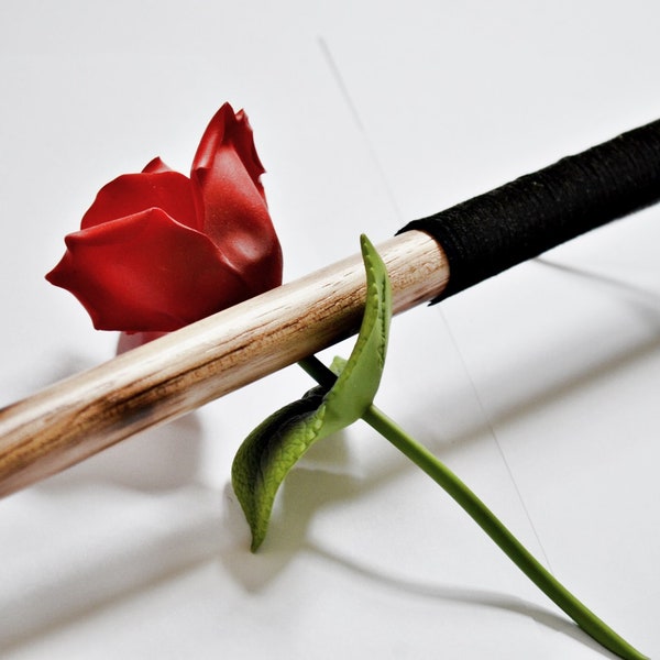 Heavy Cane Spanking - Etsy