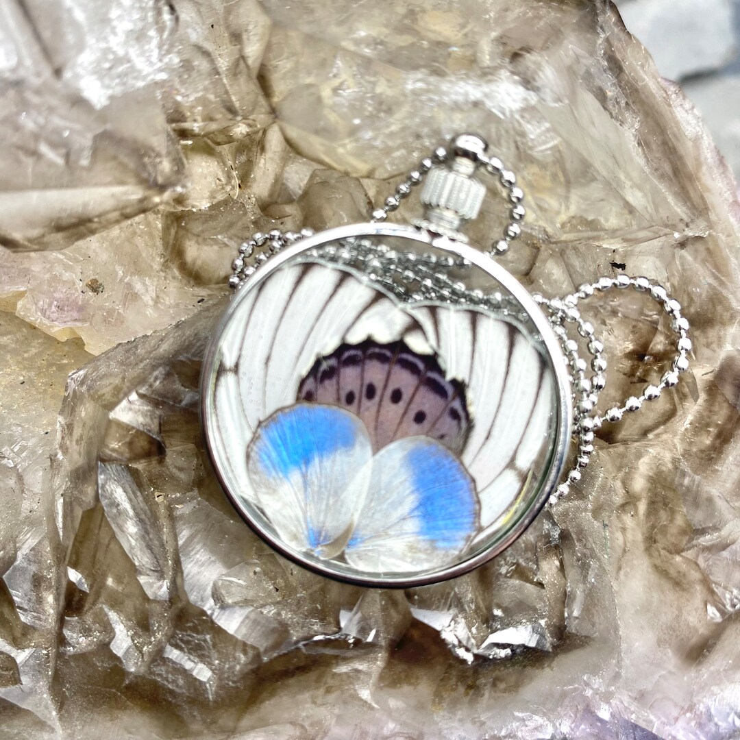 Metallic Blue and Crenis Pechueli Butterfly Wing Pendant Necklace - Etsy
