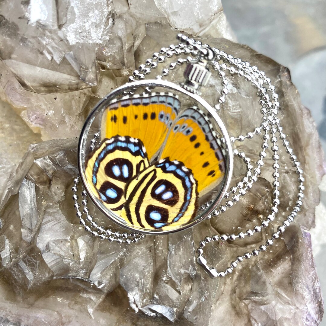 Callicore Peristera Butterfly Wing Pendant Necklace - Etsy