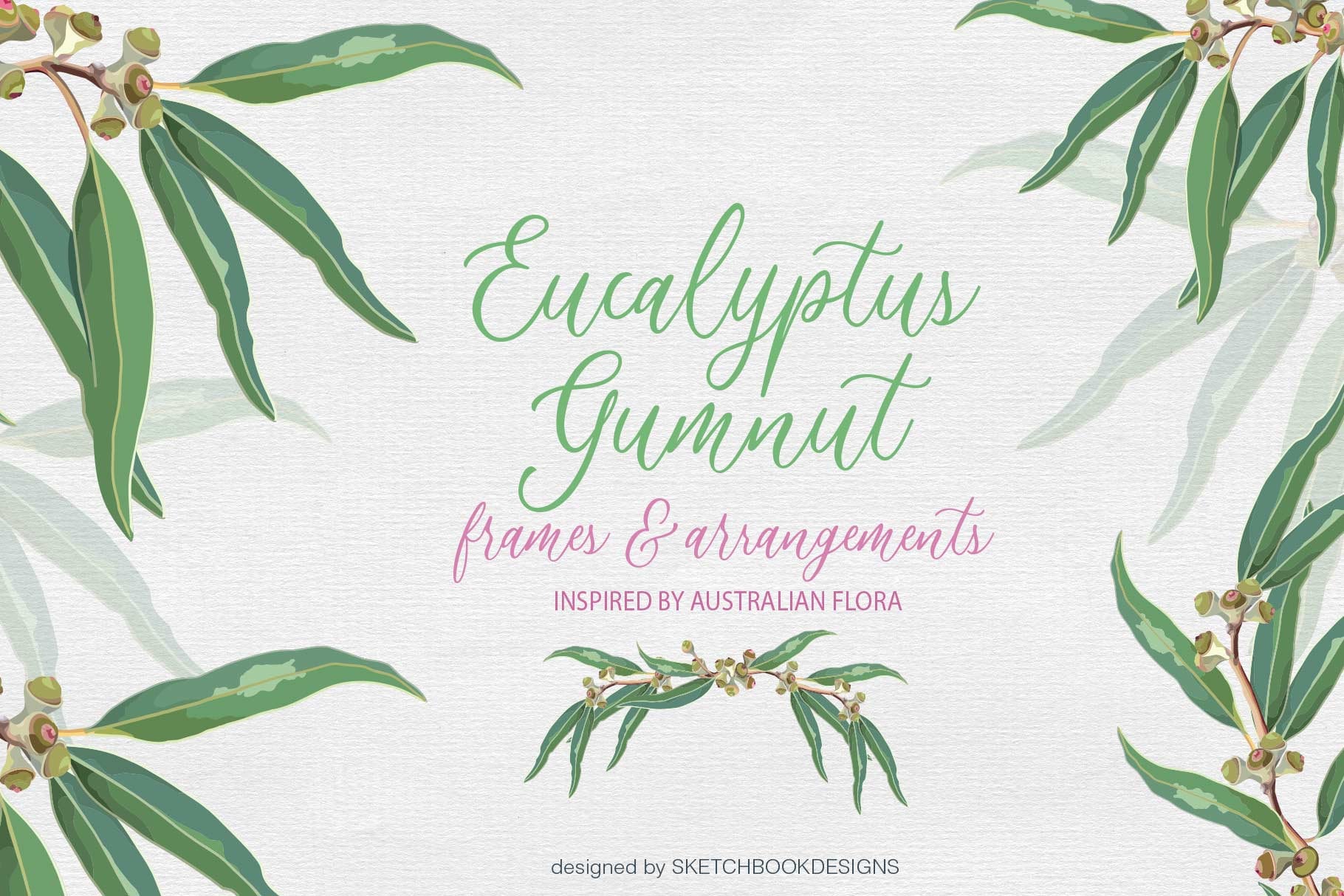 6 Digital Eucalyptus Gumnut Frames & Arrangements - Etsy Australia