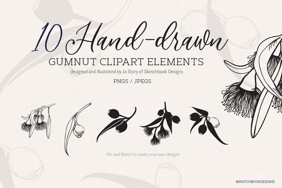 10 Hand-drawn Digital Gumnut Clipart - Etsy Australia