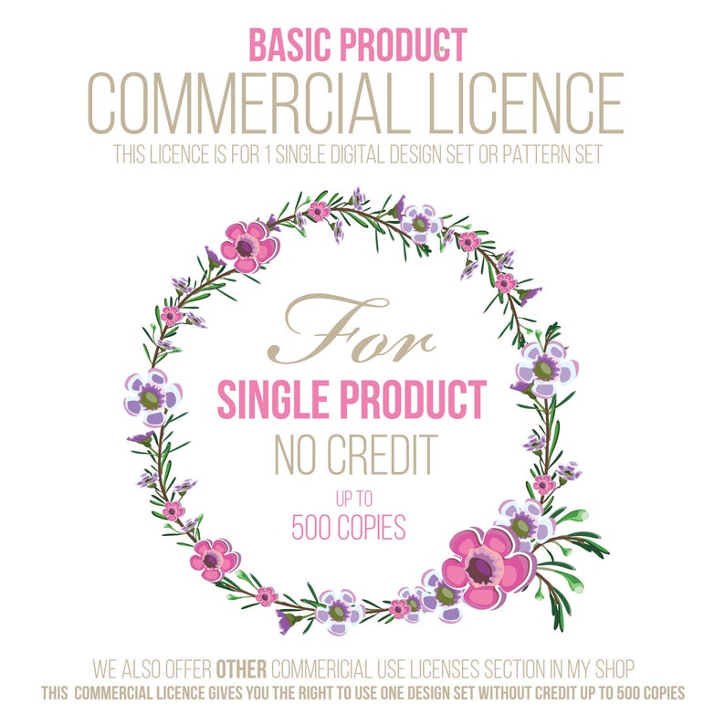 Basic Commercial License for Single Use in Graphic Sets & Pattern Sets ...