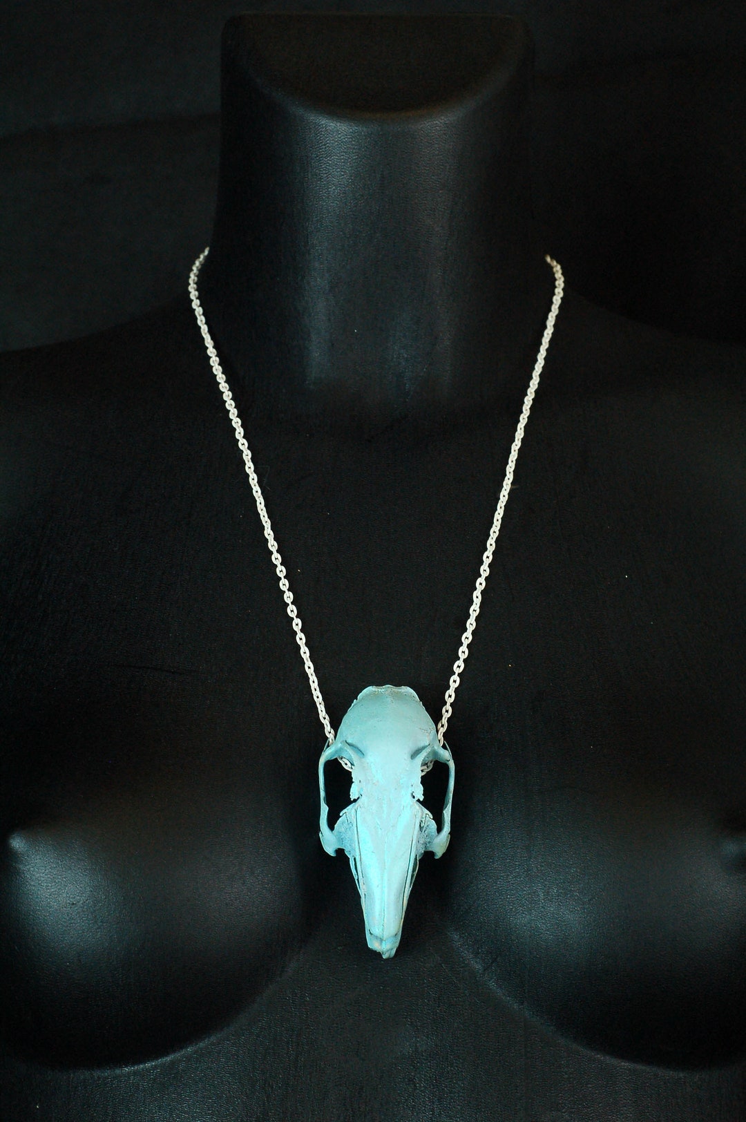 Real Rabbit Skull in Pastel Sky Blue With Shimmer - Etsy