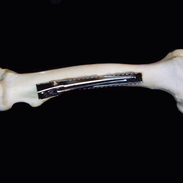 Bone Hair Clip - Etsy