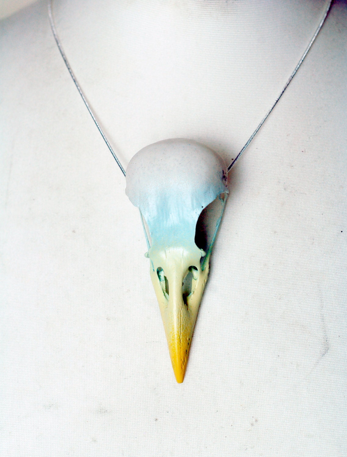 Real Skull CUSTOM Bird Skull Necklace Made Just for You to - Etsy UK