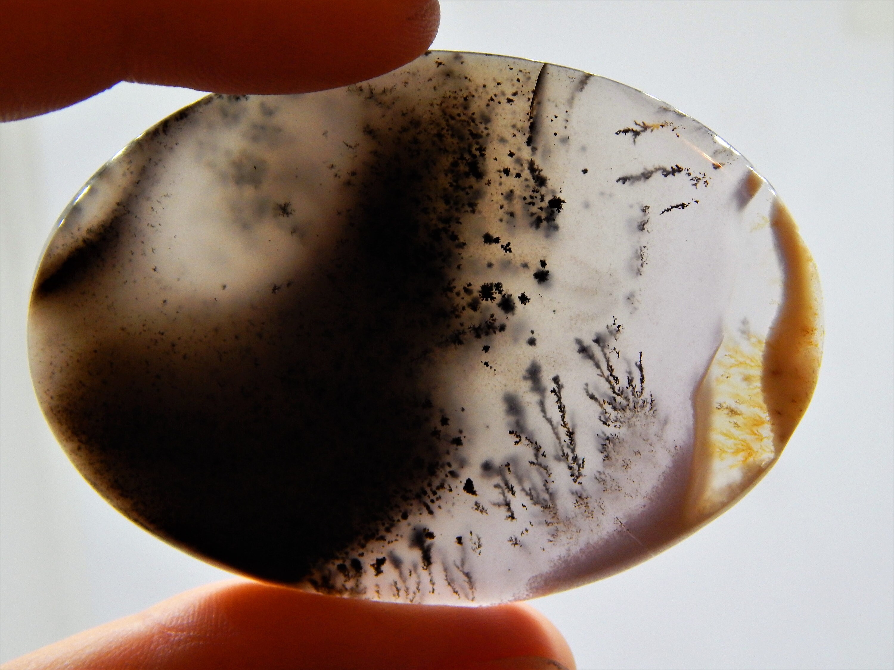 Agata dendritica Cabochon rettangolare merlinite 62 x 43 mm, agata ...